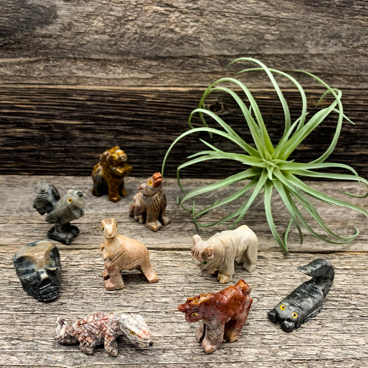 Soapstone Animals – Mineralogy